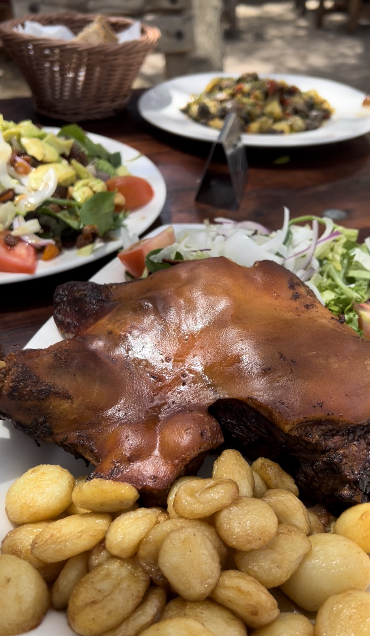 A first timers guide to a week in Palma de Mallorca.